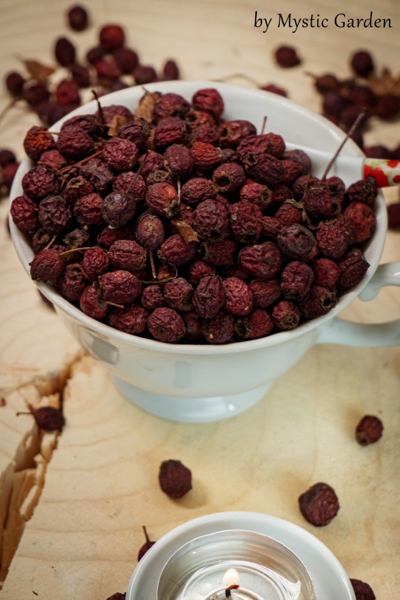 Głóg (Crataegus) owoc 500 g - Inna marka | Sklep EMPIK.COM