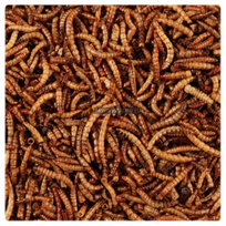 GLOPEX SUSZONA LARWA MĄCZNIKA MŁYNARKA 200g/1000ml - Inny producent ...