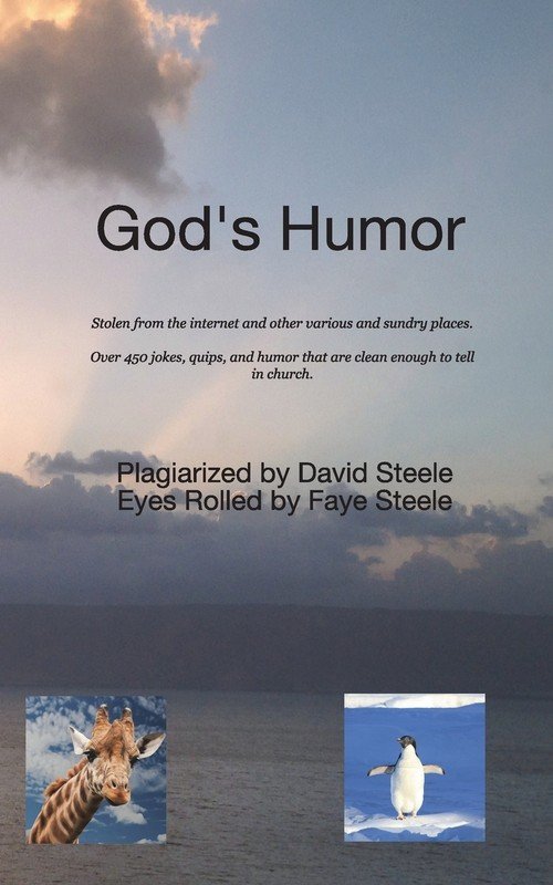 God's Humor - Steele David | Książka w Empik