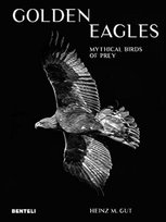 Golden Eagles: Legendary Birds of Prey - Heinz M. Gut | Książka w Empik