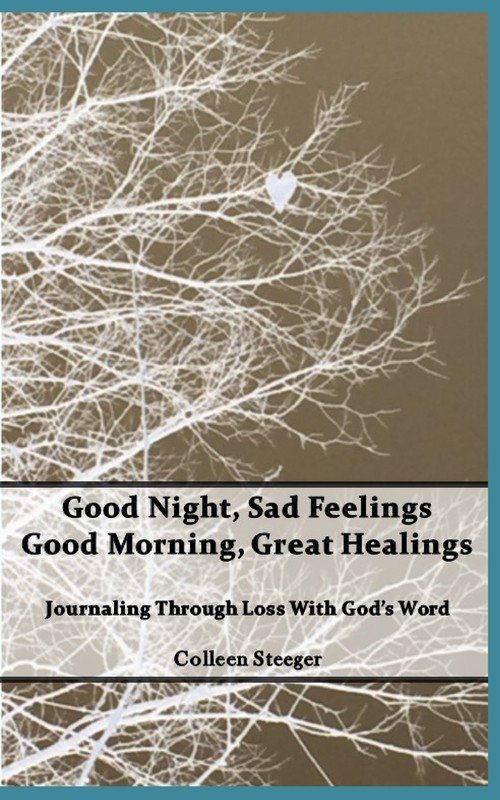 Good Night, Sad Feelings Good Morning, Great Healings - Steeger Colleen ...