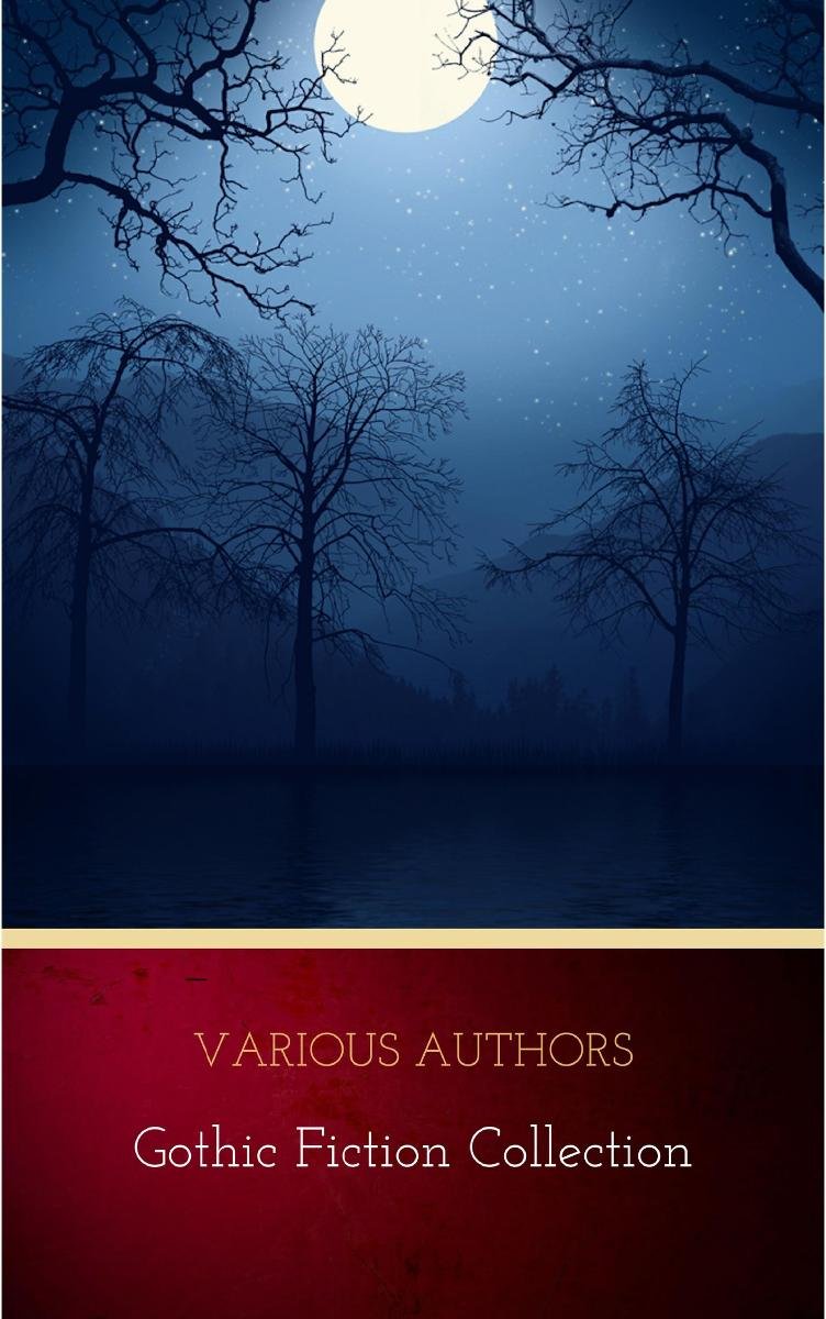 Gothic Fiction Collection - ebook epub - Opracowanie zbiorowe | Ebook ...