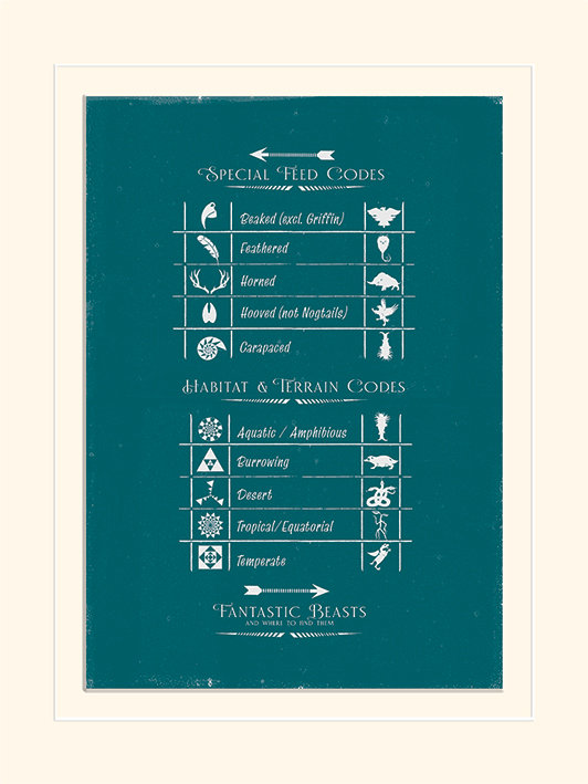 Grafika w ramce PYRAMID INTERNATIONAL, Fantastic Beasts Chart, 30x40 cm ...