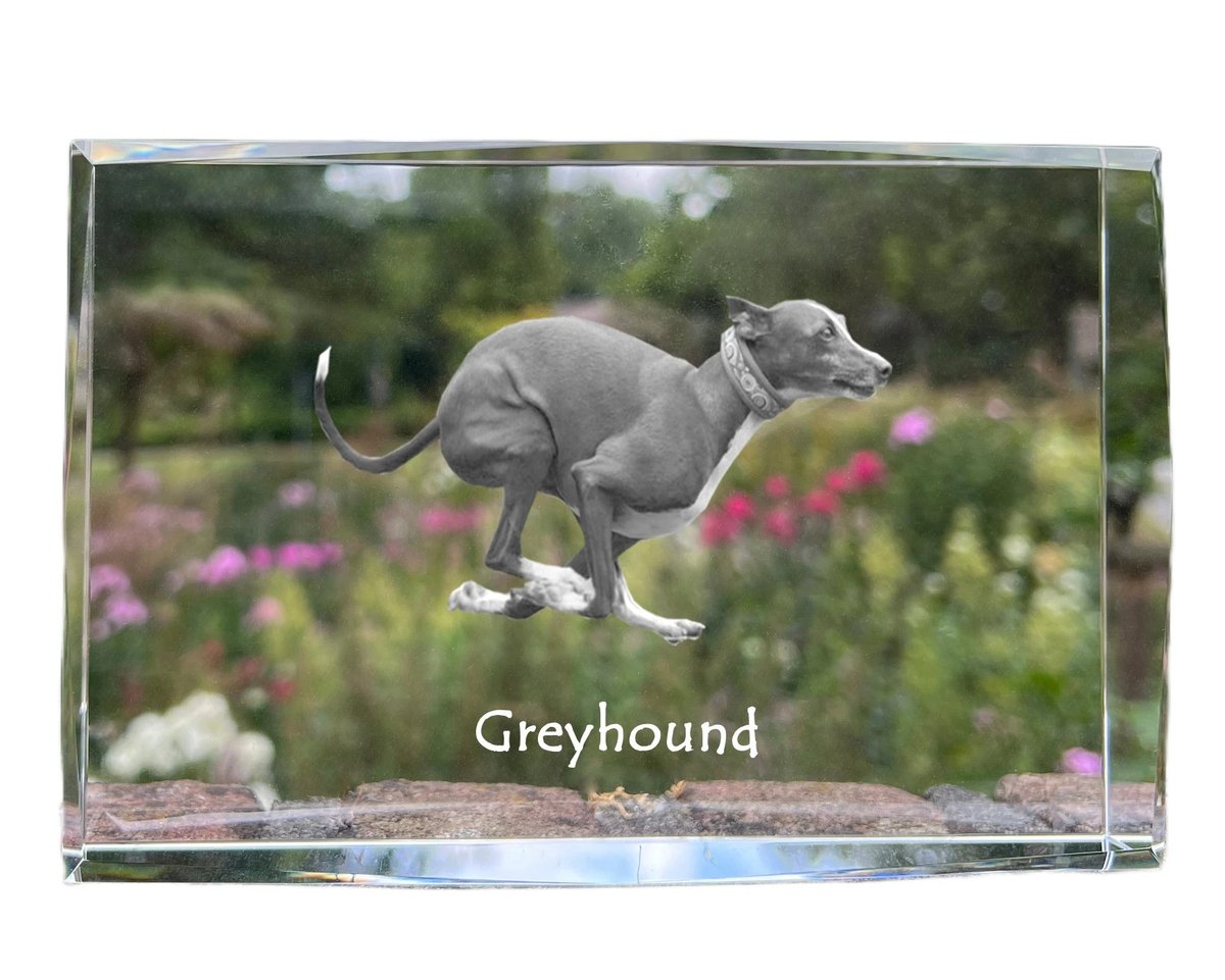 Greyhound, Chart angielski - kryształ ze zdjęciem psa, zdjęcie w szkle ...
