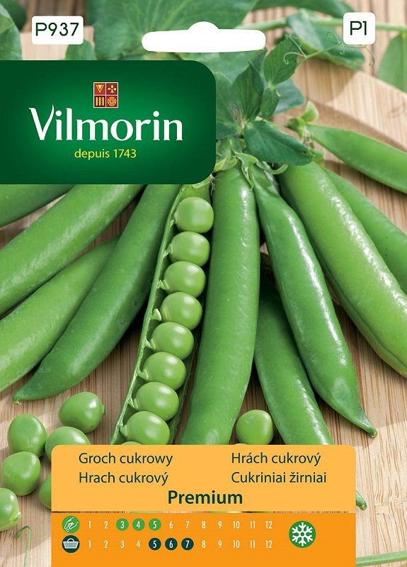Groch cukrowy Premium 30 g Vilmorin - Vilmorin | Sklep EMPIK.COM