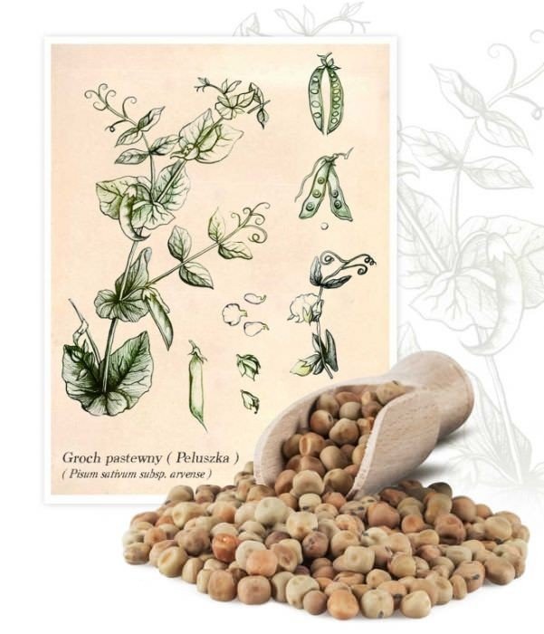 Groch pastewny Peluszka 1 kg - Inna marka | Sklep EMPIK.COM
