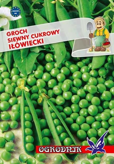 Groch siewny cukrowy Iłówiecki 40g / O / - Inna marka | Sklep EMPIK.COM