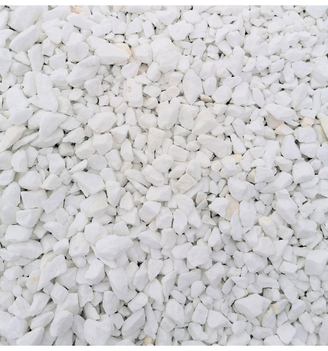 Grys Extra White BIOVITA 2 kg 8-16mm - BIOVITA | Sklep EMPIK.COM