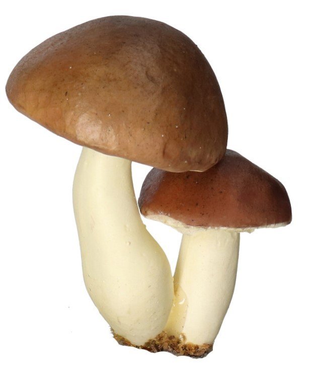 Grzybek Grzyby Grzybki Dekoracyjne Duże2Szt Stroik - Inny producent ...