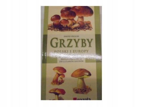 Grzyby Polski I Europy - Anna Pegler-Gordon | Książka w Empik