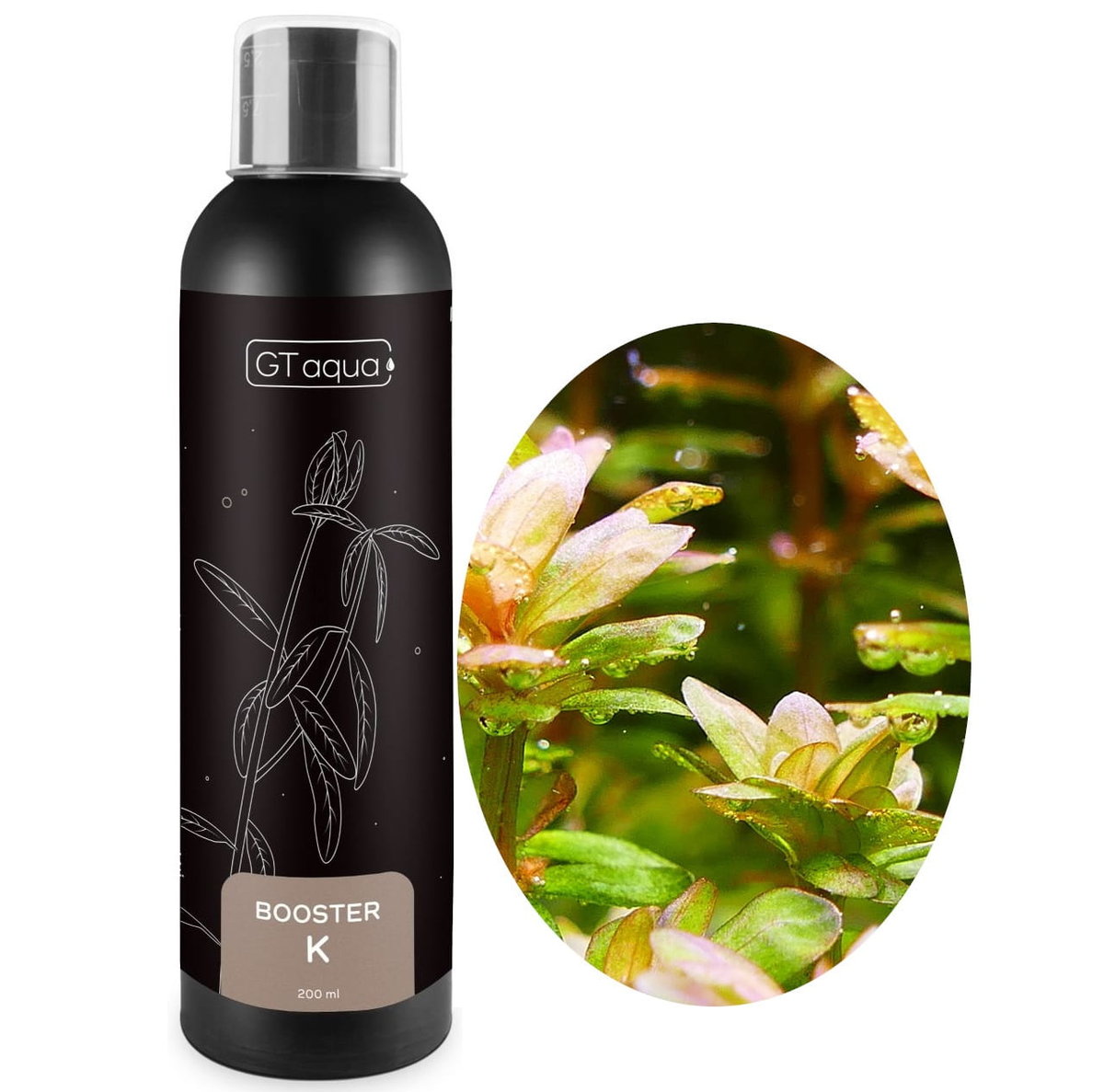 GT AQUA BOOSTER K 200ML Nawóz Potasowy do Akwarium - Inna marka | Sklep ...