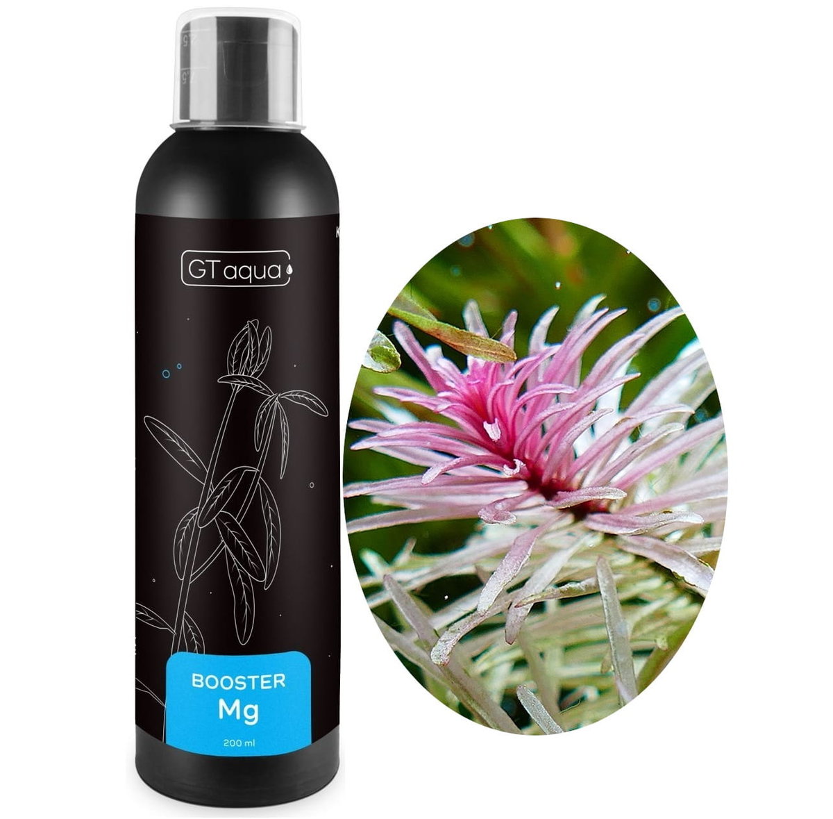 GT AQUA BOOSTER MG 500ML Nawóz Magnezowy do Akwarium - inna (Inny ...