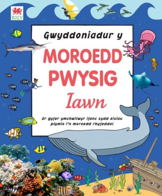 Gwyddoniadur y Moroedd Pwysig Iawn - Opracowanie zbiorowe | Książka w Empik