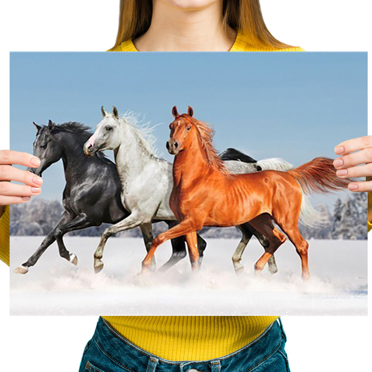 Haft Diamentowy Diamond Painting,DIAMENTOWY MALARZ,Obraz DIY 5D,Mozaika Diamentowa 30x40, Konie ...