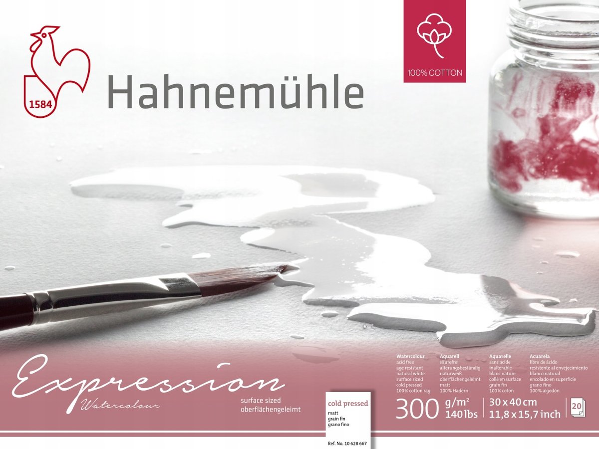 Hahnemuehle Blok EXPRESSION WC 30x40 cm 300g 20k CP 100% bawełny - Inna ...