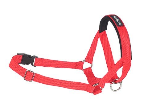 Halter basic s czerwony. - Amiplay | Sklep EMPIK.COM