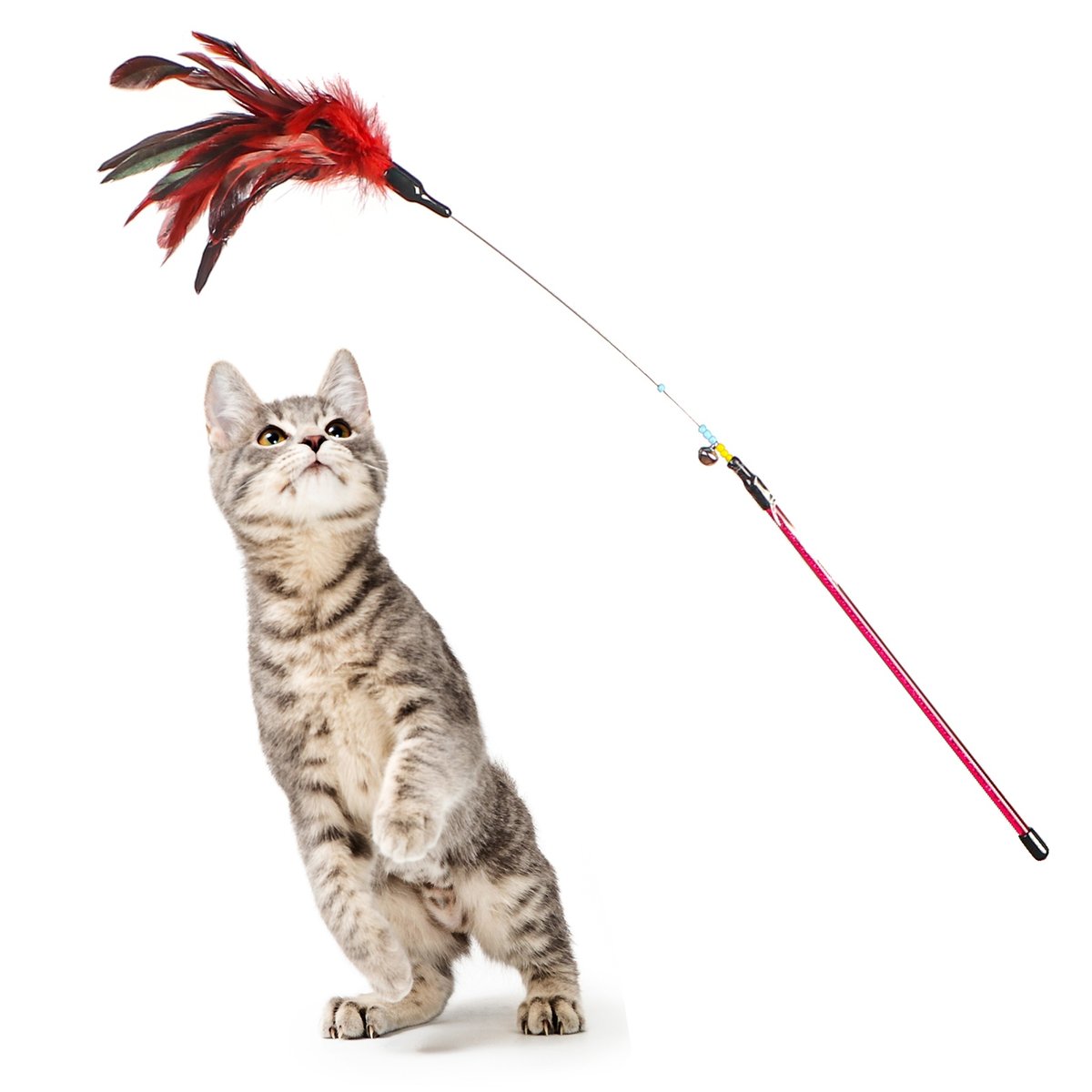 Happypet Manhattan Cat Teaser - Zabawka Do Wspólnej Zabawy - KOMODO ...