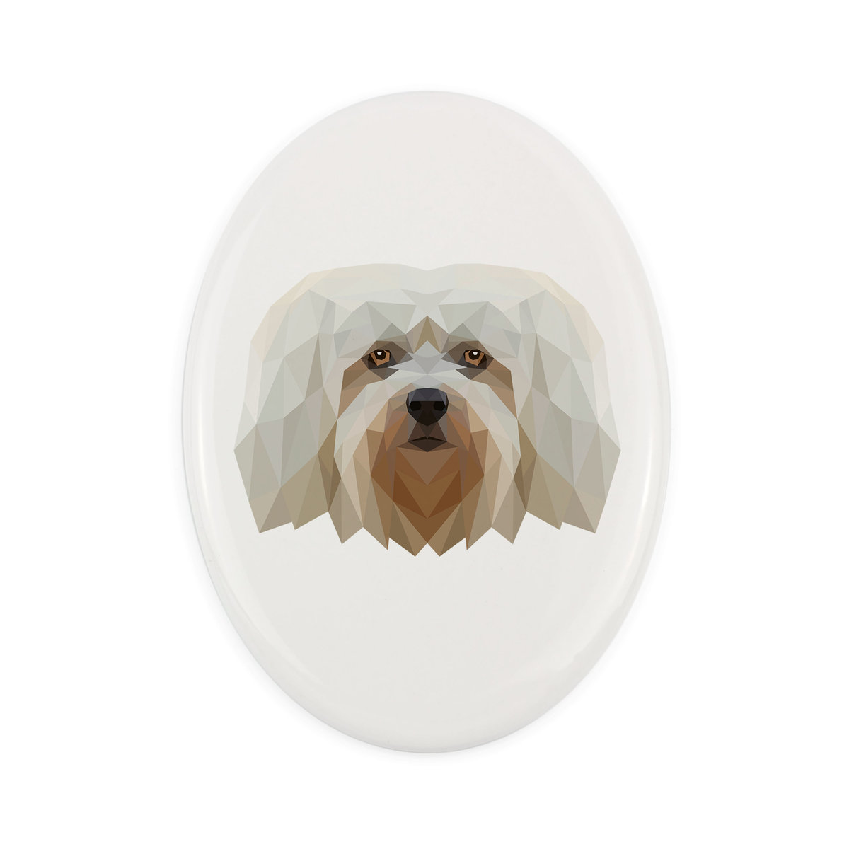 Hawańczyk, Havanese -płytka ze zdjęciem i napisem geometryczna marki ...