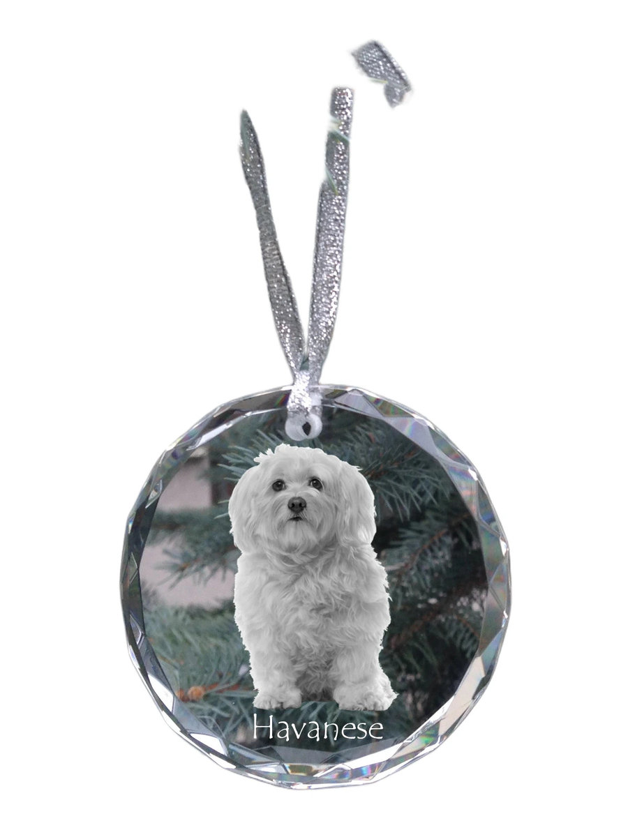 Hawańczyk medal kryształowy z psem Art-Dog - Inna marka | Sklep EMPIK.COM