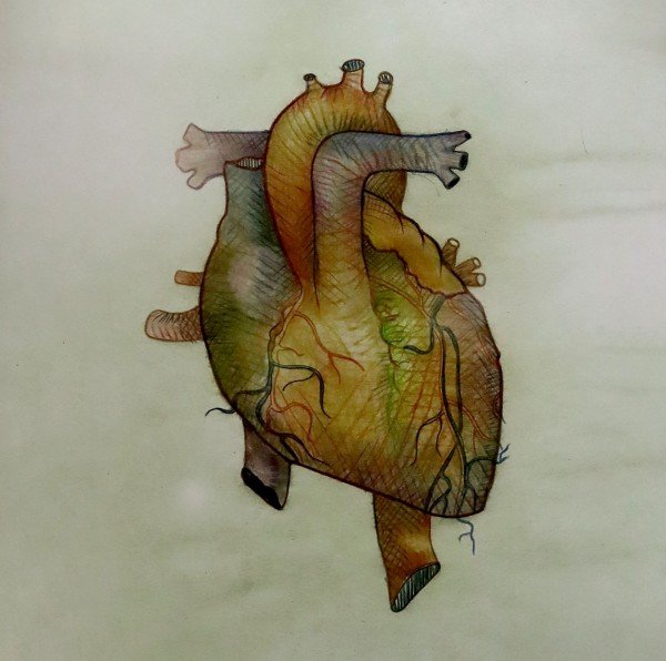 Heavi Metal (Limitowana Edycja Specjalna), płyta winylowa - Fisz Emade ...