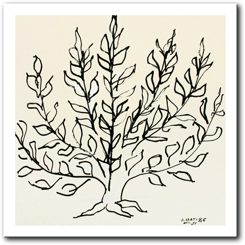 Henri Matisse, Tree - PR03573 - PRINTORAMA | Sklep EMPIK.COM