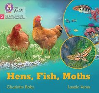 Hens, Fish, Moths: Phase 2 Set 5 Blending Practice - Raby Charlotte ...