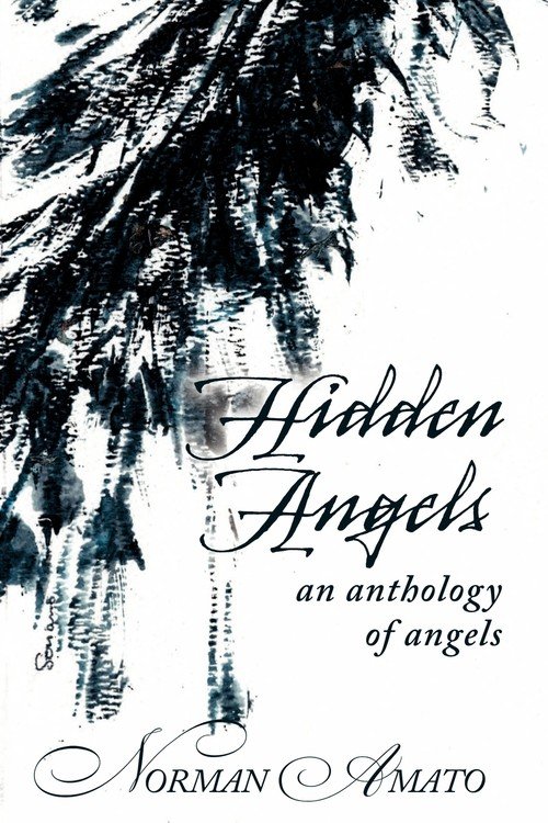 Hidden Angels - Norman Amato | Książka w Empik