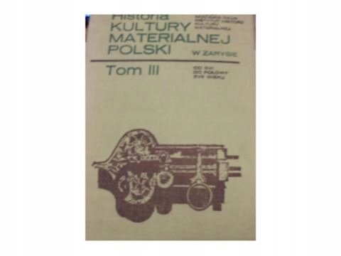 Historia Kultury Materialnej Polski t 3 - Ladacznica Święta | Książka w ...