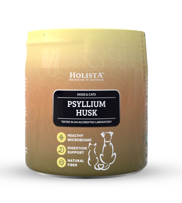 Holista Psyllium Husk Babka Płesznik 100g - Holista | Sklep EMPIK.COM