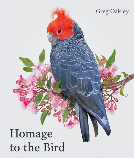 Homage to the Bird - Greg Oakley | Książka w Empik