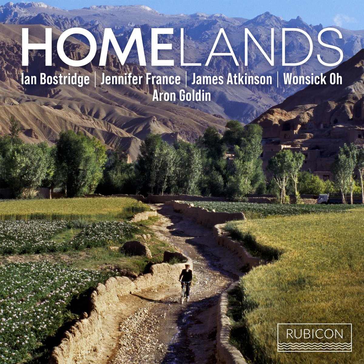 Homelands - Goldin Aron | Muzyka Sklep EMPIK.COM