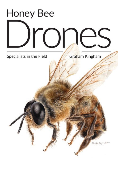 Honey Bee Drones - W opisie | Książka w Empik