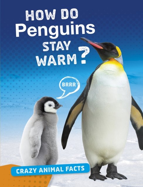 How Do Penguins Stay Warm? - Nancy Furstinger | Książka w Empik How Do Penguins Stay Warm? - Nancy Furstinger | Książka w Empik