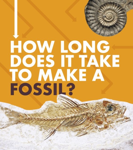 How Long Does It Take to Make a Fossil? - Emily Hudd | Książka w Empik