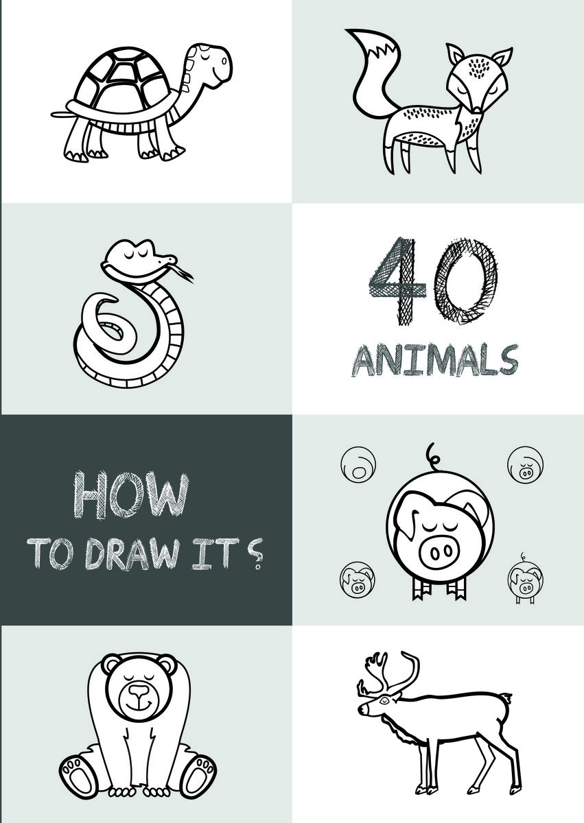 How to draw it? 40 animals - Paulina Gwóźdź | Książka w Empik
