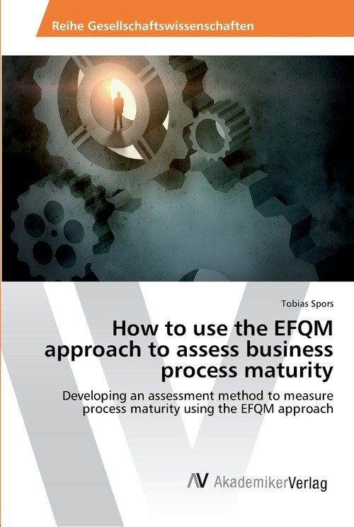 How to use the EFQM approach to assess business process maturity ...
