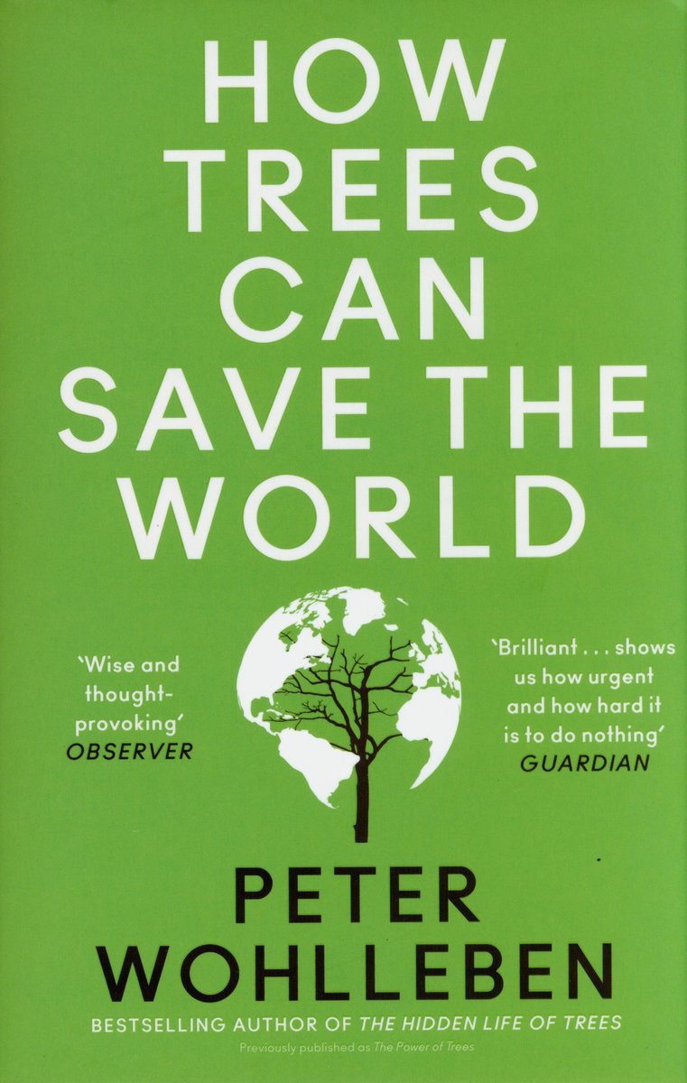 How Trees Can Save the World - Wohlleben Peter | Książka w Empik