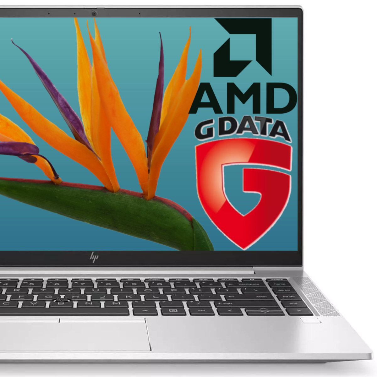 HP EliteBook 845 G7 AMD Ryzen 5 Pro 4650U 8GB 512GB SSD 1920x1080 Windows 11 Home - HP | Sklep ...