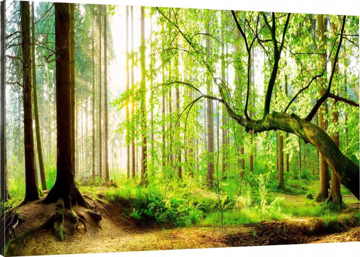 HUBDECO Obrazy na płótnie, do salonu, obrazów, plakatów, druków ...