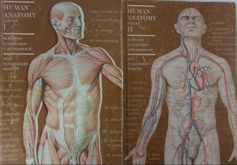 Human Anatomy Tom I i II - Opracowanie zbiorowe | Książka w Empik