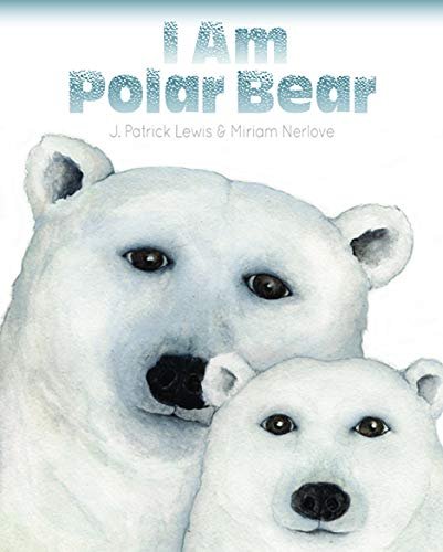 I Am Polar Bear - Lewis J. Patrick | Książka w Empik