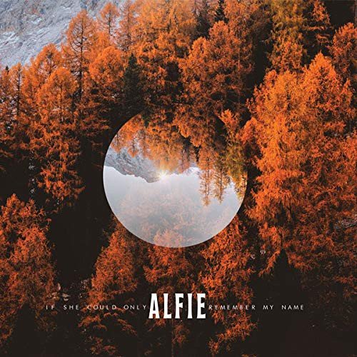If She Could Only Remember My Name - Alfie | Muzyka Sklep EMPIK.COM