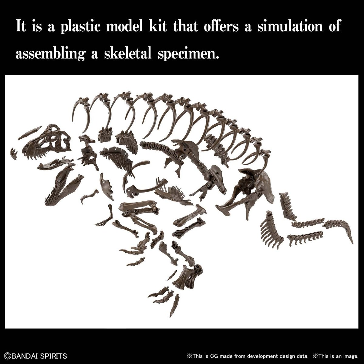 Imaginary Skeleton 1/32 Tyrann - BANDAI | Sklep EMPIK.COM