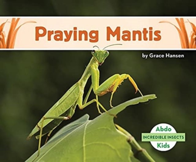 Incredible Insects: Praying Mantis - Grace Hansen | Książka w Empik