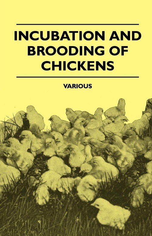 Incubation and Brooding of Chickens - Jull M. A. | Książka w Empik