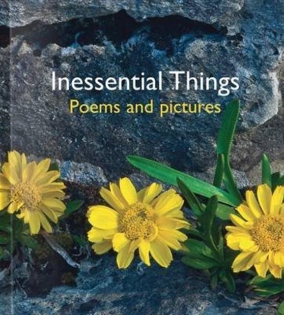 Inessential Things. Poems and Pictures - Opracowanie zbiorowe | Książka ...