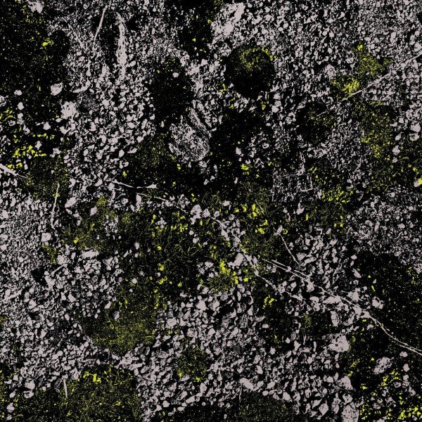 Infest The Rats Nest, płyta winylowa - King Gizzard & the Lizard Wizard ...