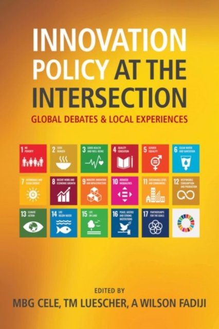 Innovation Policy at the Intersection: Global Debates and Local ...