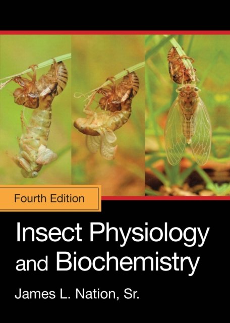 Insect Physiology and Biochemistry - James L. Nation | Książka w Empik