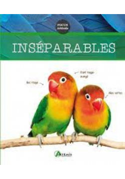 Inseparables - Opracowanie zbiorowe | Książka w Empik